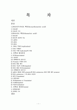 단백질합성과정 (DNA, RNA, DNA 복제, 단백질 합성과정, 단백질 생산)-1페이지