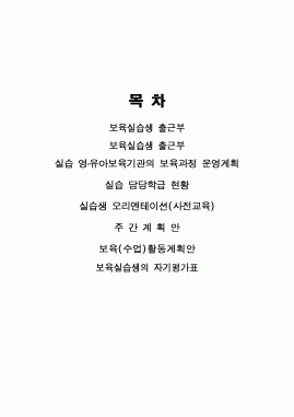 (보육실습) 보육실습양식, 보육실습제출서류양식, 보육실습서류양식-1페이지