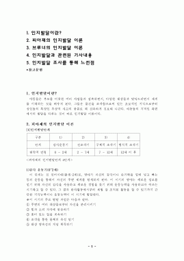 인지발달 (아동행동연구, 피아제, 부르너, 인지발달이론, 느낀점)-1페이지