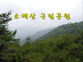 (관광) 소백산 국립공원 (이동경로 (부산~소백산), 소백산의 공원안내, , 탐방코스, 현지교통편, 전설 ∙ 설화, 주요관광자원(인문관광자원, 자연관광자원), 행사 ∙ 축제, 관광객 추이, 개선).ppt-1페이지