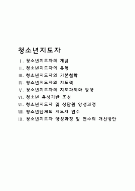 청소년지도자(개념, 지도과제. 청소년지도사, 청소년상담원)-1페이지