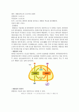 [일반생물학] 광합성과 크로마토그래피 예비+결과 A+ 자료 고찰A++-1페이지