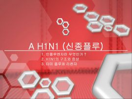 의학 - A H1N1 (신종플루)에 관해-1페이지