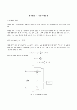 물리실험 - 자유낙하운동-1페이지