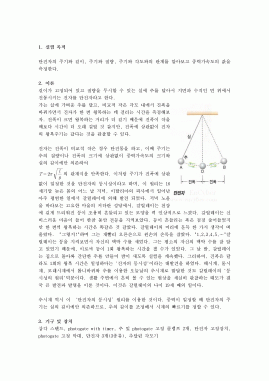 물리학 및 실험 - 단진자운동-1페이지