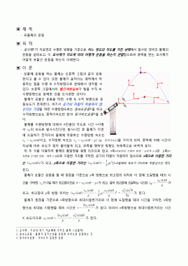 물리학 및 실험 - 포물체 운동-1페이지