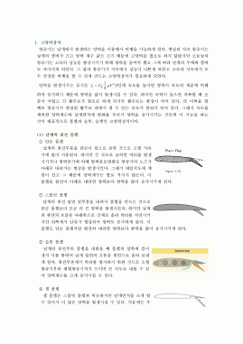 고양력장치와 고항력장치-1페이지