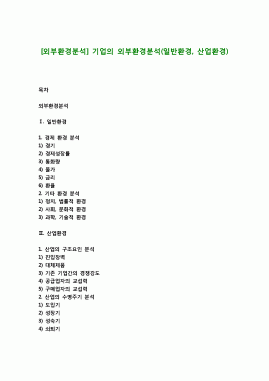 [외부환경분석] 기업의 외부환경분석(일반환경, 산업환경)-1페이지