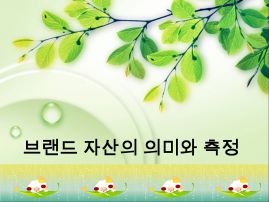 브랜드자산관리(상표관리, 브랜드관리)의 정의, 의의, 브랜드자산관리(상표관리, 브랜드관리)의 과정, 항목, 브랜드자산관리(상표관리, 브랜드관리)의 유의사항, 사례, 브랜드자산관리(상표관리, 브랜드관리) 전략-1페이지