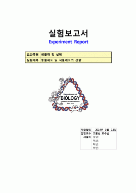 [생물학 및 실험보고서 Experiment Report]  현미경의 종류, 구조, 기능 및 세포의 길이 측정 - 동물세포 및 식물세포의 관찰-1페이지