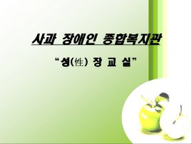 (프로그램) 성교육을 통한 정신지체 청소년의 올바른 성인식 확립 프로포절 - 사과 장애인 종합복지관 “성(性)장교실”.PPT자료-1페이지