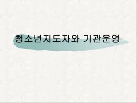 [청소년복지] 청소년지도자의 개념과 역할, 현황, 자질 및 청소년 시설의 종류와 문제점 - 청소년 지도자의 개념과 현황, 전문성과 역할, 청소년기관 운영-1페이지