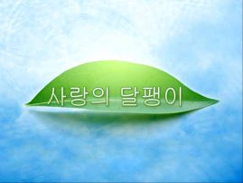 [NGO - 사랑의 달팽이] 개념, 역할과 기능, NGO 사랑의 달팽이 주요사업, NGO 사랑의 달팽이 업무, NGO 사랑의 달팽이 나아갈 방향, 결론 등등-1페이지