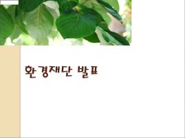 [NGO 기관 분석 레포트] 환경재단의 역할, 설립목적, 주요 활동, 전망 분석-1페이지