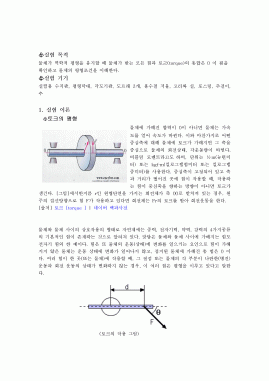 평형실험 완성판-1페이지