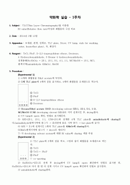 예비레포트-1페이지