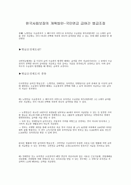 한국사회보장社會保障의 개혁방안-국민연금 급여간 병급조정-1페이지