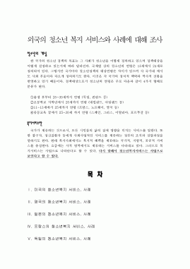 외국의 청소년 복지 서비스, 프로그램 사례 (미국, 영국, 일본, 프랑스, 독일의 청소년복지 서비스, 사례)-1페이지