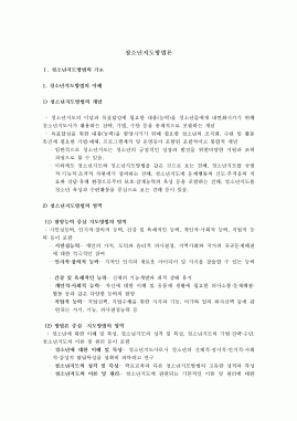 청소년지도방법론 (청소년지도방법의 기초, 단계별 청소년지도방법의 전개기법, 유형별 청소년지도방법의 전개기법, 청소년지도자의 역할과 자질)-1페이지