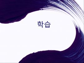 학습이론에 대한ppt-1페이지