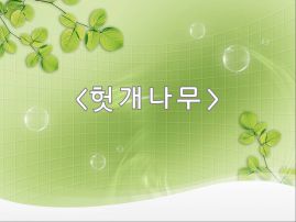 자원식물학 -헛개나무의 정의, 헛개나무의 효능, 헛개나무의 상품성-1페이지