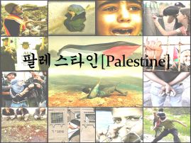 팔레스타인 Palestine -1페이지