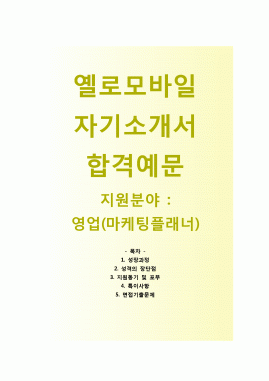 (옐로모바일 자기소개서 + 면접기출문제) 옐로모바일(영업마케팅플래너) 자소서 우수예문 [옐로모바일자소서 지원동기첨삭항목]-1페이지