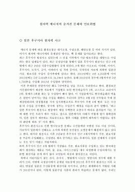 에너지와 환경 -원자력 에너지의 숨겨진 문제와 안보위협-1페이지