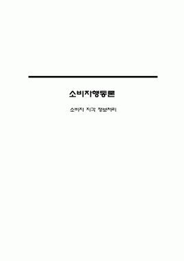 [소비자행동론_소비자 지각 정보처리]비타민워터 마케팅사례,현대자동차와 폭스바겐 마케팅전략,브랜드마케팅,서비스마케팅,글로벌경영,사례분석,swot,stp,4p-1페이지