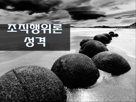 <조직행위론 성격> 성격검사, 성격 검사 유형, MBTI, 기업사례, 홀마크의 문제점, 홀마크의 실천, 변화전략.pptx-1페이지