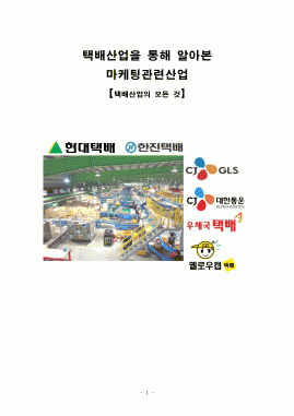 택배산업을 통해 알아본 마케팅관련산업 【택배산업의 모든 것】 (택배산업의 정의, 택배시장의 수요구조, 업계 현황, 택배시장의 경쟁구조, 택배산업, 택배시장, 현대택배, 한진택배)-1페이지