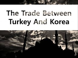 [터키 소개]한-터키 FTA 체결,터키의 경제 현황-1페이지