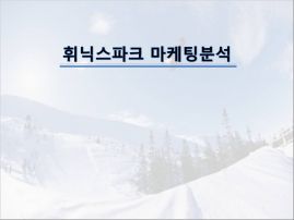 휘닉스파크 마케팅분석-휘닉스 파크(Phoenix Park)기업분석,브랜드마케팅,서비스마케팅,글로벌경영,사례분석,swot,stp,4p-1페이지