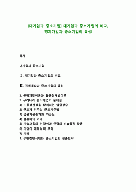 [대기업과 중소기업] 대기업과 중소기업의 비교, 경제개발과 중소기업의 육성, 무한경쟁시대와 중소기업의 생존전략-1페이지