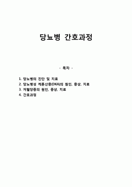 당뇨병 간호 과정-1페이지