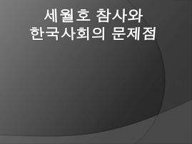 세월호 참사와 한국 사회의 문제점-1페이지