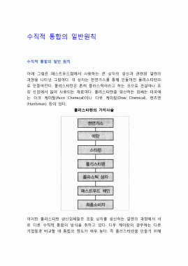 수직적 통합의 일반원칙_폴리스티렌의 가치사슬
-1페이지