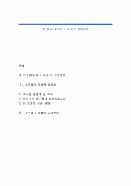 망 효과(네트워크 효과)와 기업전략 (네트워크 가치의 중요성,과도한 관성과 망 효과,포지티브 피드백과 승자독점시장, 망 효과와 시장 실패,네트워크 가치와 기업전략
)-1페이지