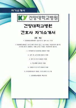 건양대학교 간호사 자기소개서 양식에 맞춘 글자수로 인사 경험자가 작성한 최고의 <자기소개서, 자소서>-1페이지