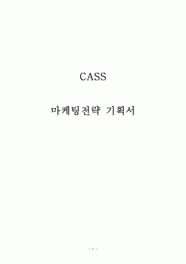 CASS 카스 신제품 마케팅 전략 기획(2030 여성타켓맥주)과 카스 신제품개 전략,마케팅전략제안 및 마케팅결과예상 레포트-1페이지