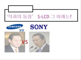  ‘적과의 동침’ S-LCD 그 미래는? (삼성과 소니의 경쟁적 구도, 삼성과 소니의 합작, 연도별 TV시장 점유율,  S-LCD 설립의 목적과 편익, 비용).ppt-1페이지