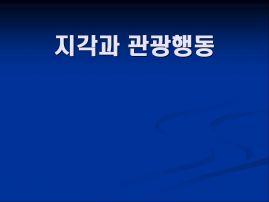 지각과 관광행동-마케팅,브랜드,브랜드마케팅,기업,서비스마케팅,글로벌,경영,시장,사례,swot,stp,4p-1페이지