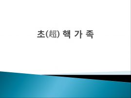 초(超) 핵가족이란-초 핵가족의 장점,초 핵가족의 문제점-1페이지