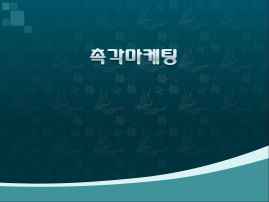 촉각마케팅0 레포트-1페이지