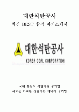 대한석탄공사 인턴 최신 BEST 합격 자기소개서-1페이지