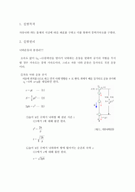 자유낙하 예비- 결과 보고서-1페이지