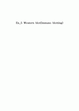 Ex5_Western blot (Immuno blotting)-1페이지