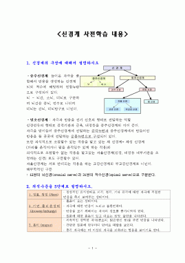 신경계 중요내용 정리요약본입니다.-1페이지