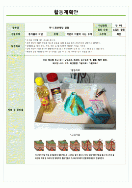 (만 5세) <화산폭발 실험 활동 계획안> 활동명 : 미니 화산폭발 실험 - 생활주제 : 동식물과 자연 / 주제 : 자연과 더불어 사는 우리 / 소주제 : 화산-1페이지