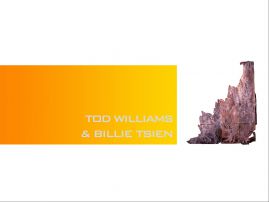부부 건축가, 토드 윌리암스와 빌리치엔 (TOD WILLIAMS & BILLIE TSIEN).pptx-1페이지